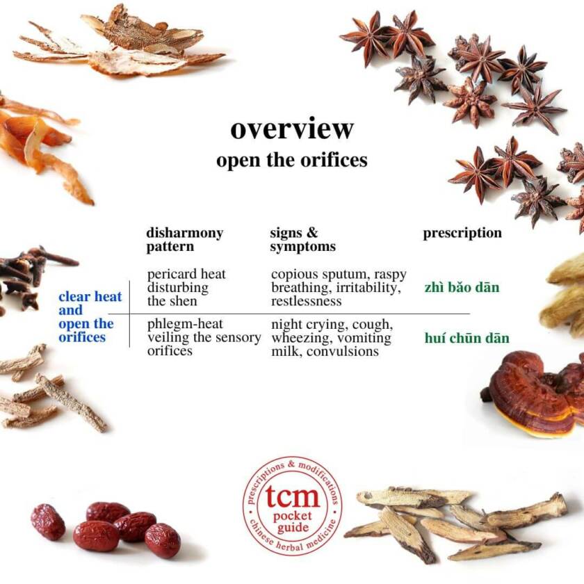 open the orifices • chinese herbal medicine | TCM Pocketguide