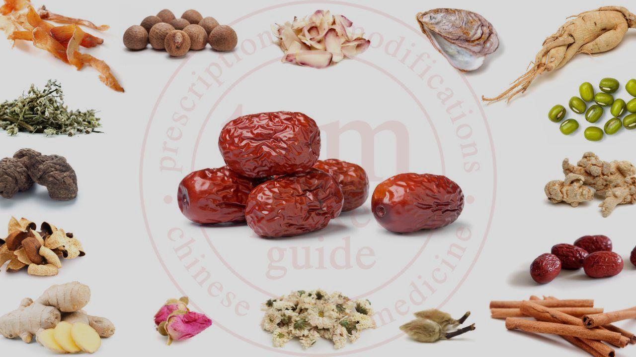 dà zăo • fructus jujubae • chinese date • 大枣 - cosmosan - andrea merten